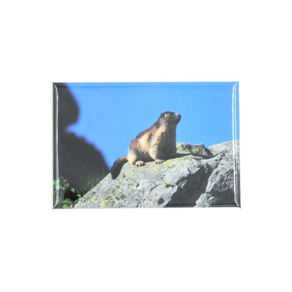 Peluche Marmotte Gilet Noir Yodel | La Savoie en Direct